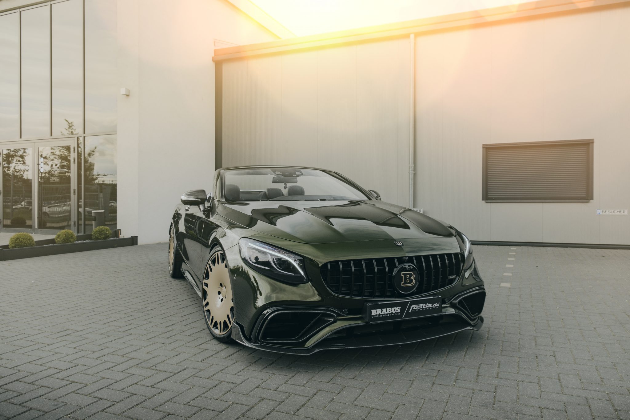 Olea Green - Platinum Wrapping Film