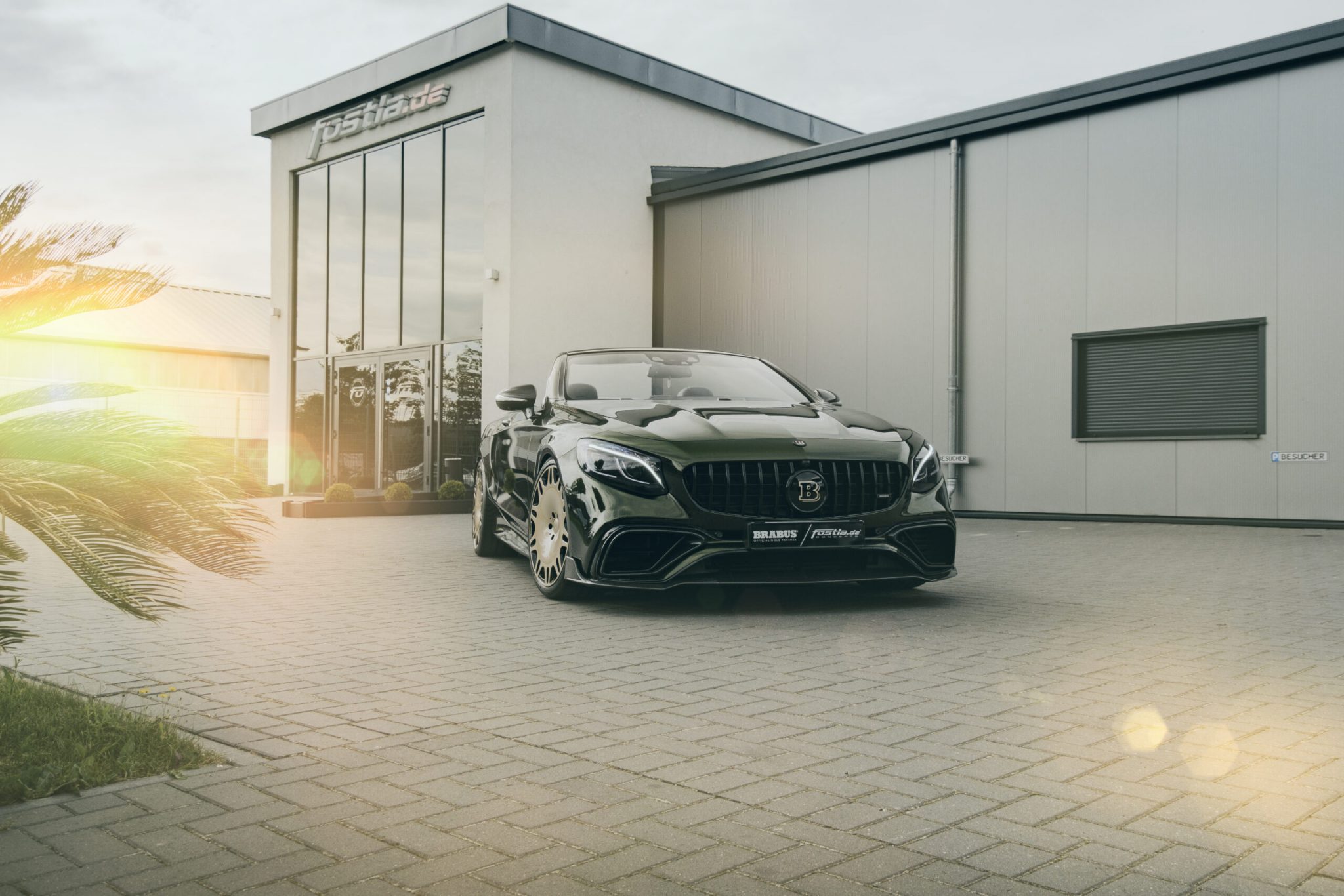 Olea Green - Platinum Wrapping Film