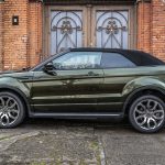 Olea Green - Platinum Wrapping Film