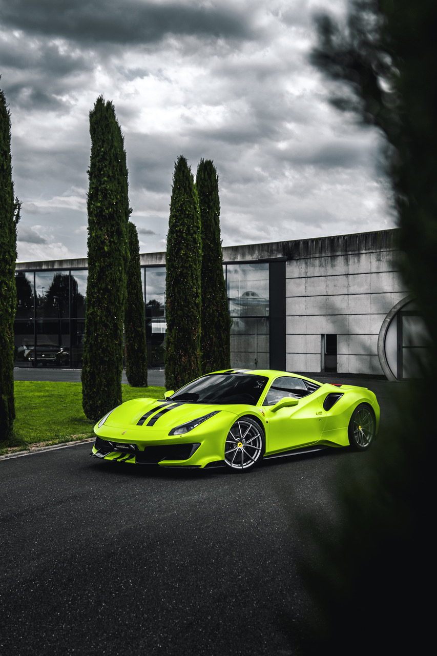 Matt Lizard Lime - Platinum Wrapping Film